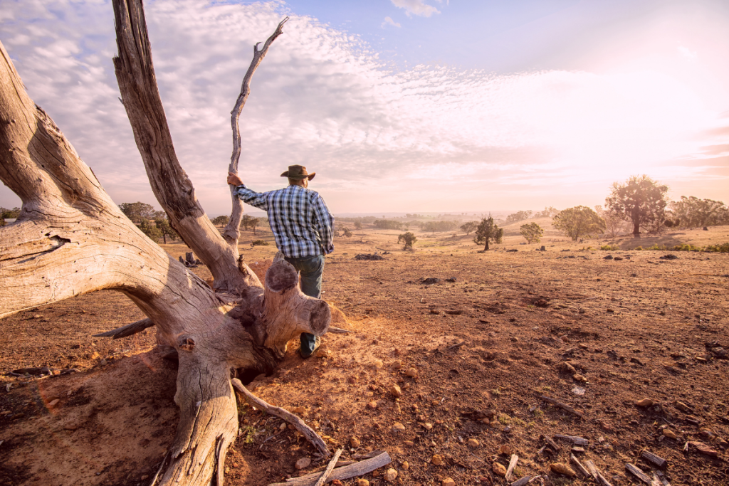 Activating Your Drought Management Plan: Steps for Farmers Facing ...